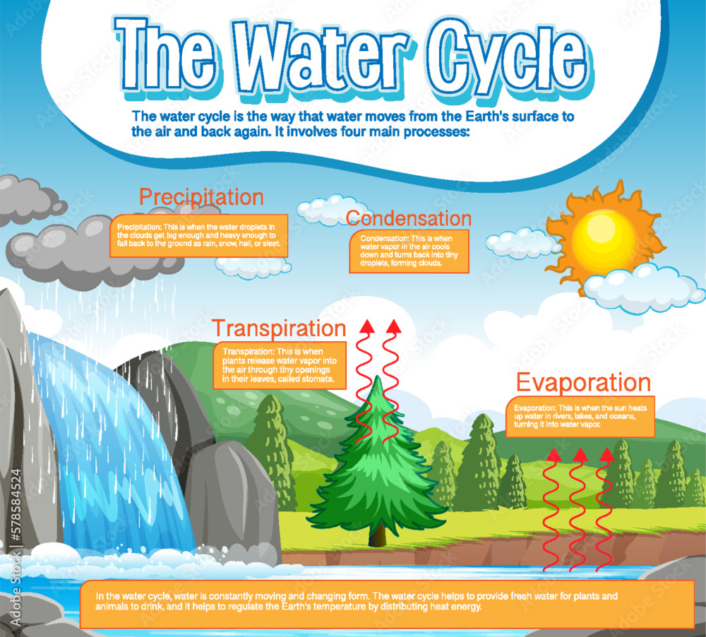 The water cycle diagram for science education Stock Vector | Adobe Stock