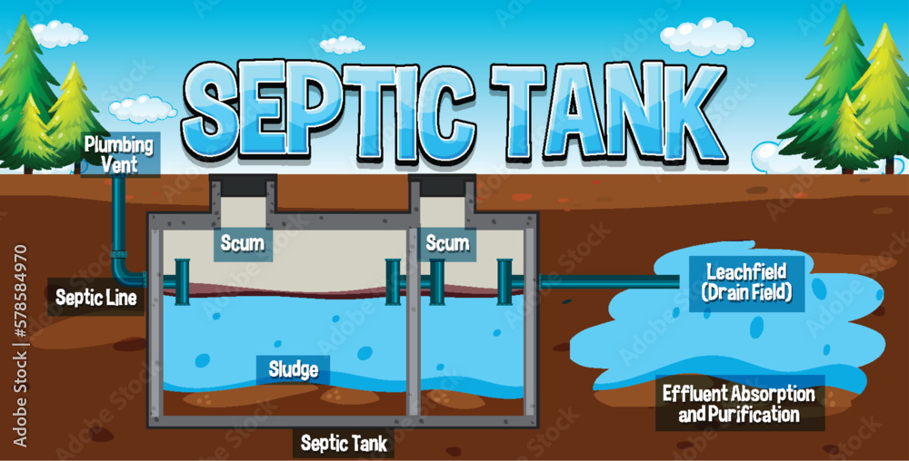Septic tank system diagram Stock Vector | Adobe Stock