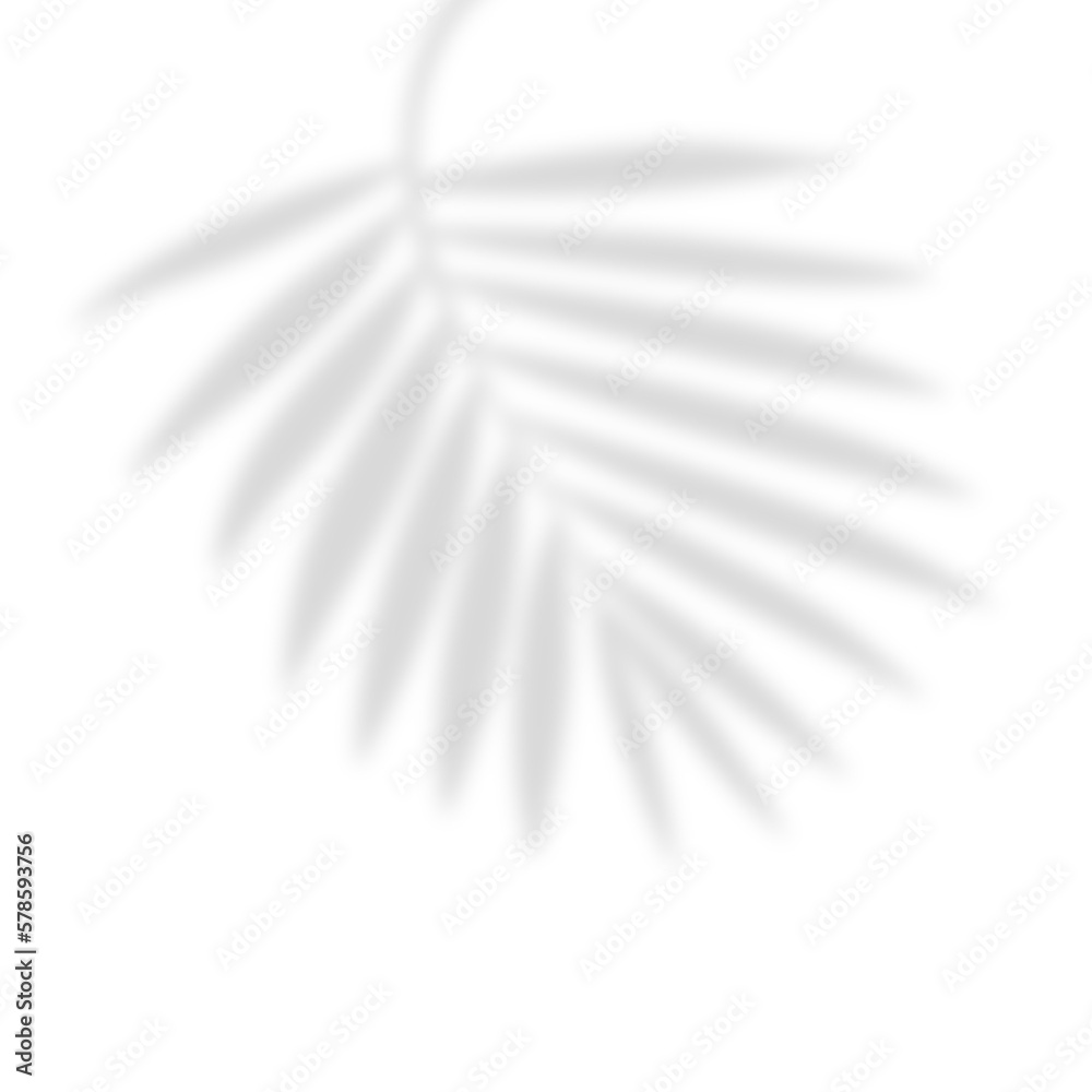 Shadow overlay leaf effect transparant Stock Illustration | Adobe Stock