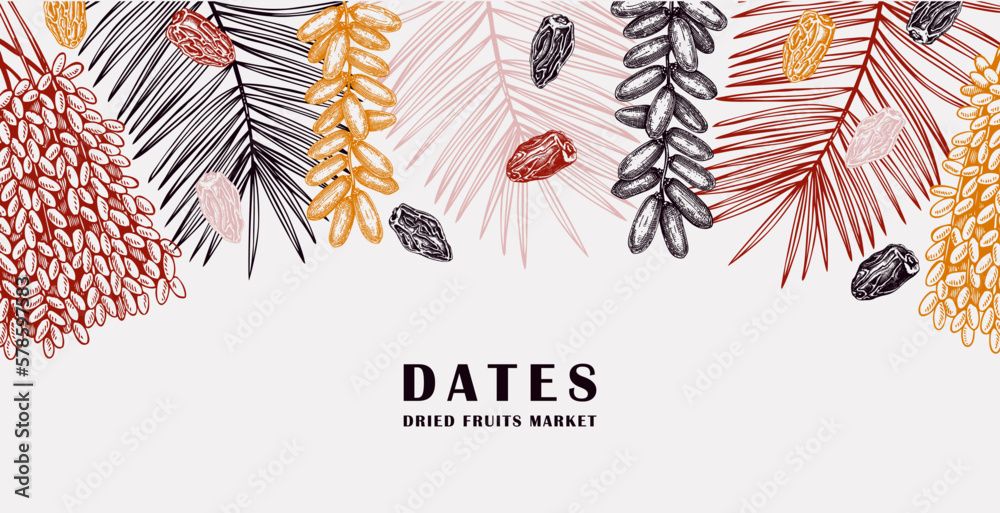 Sketched background with date palm leaves and dried fruit illustrations ...