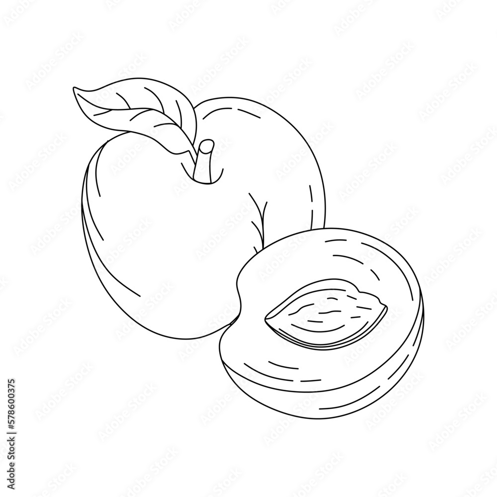 Peach doodle Vector illustration coloring book for kids Stock Vector ...