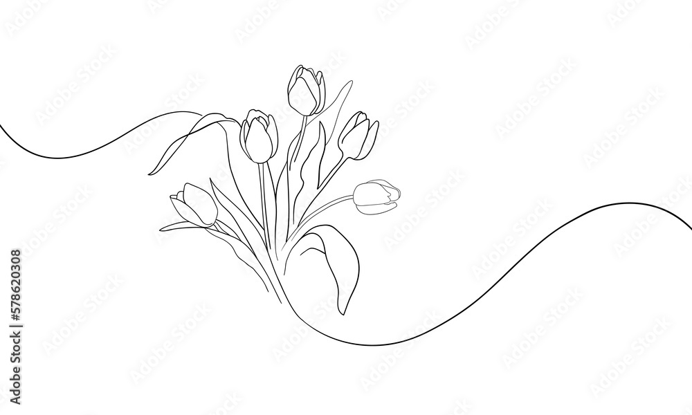 Tulips line art drawing on white background. Spring flowers bouquet ...