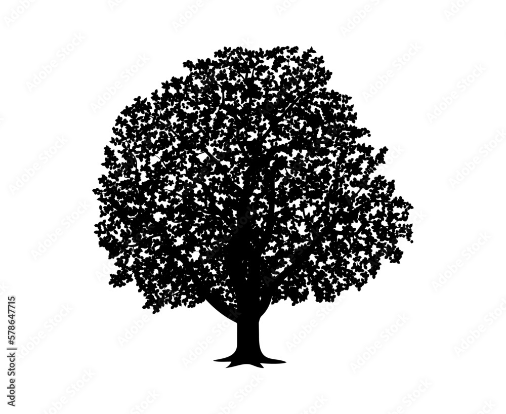 Vector silhouette of walnut tree. Isolated vector silhouette of walnut ...