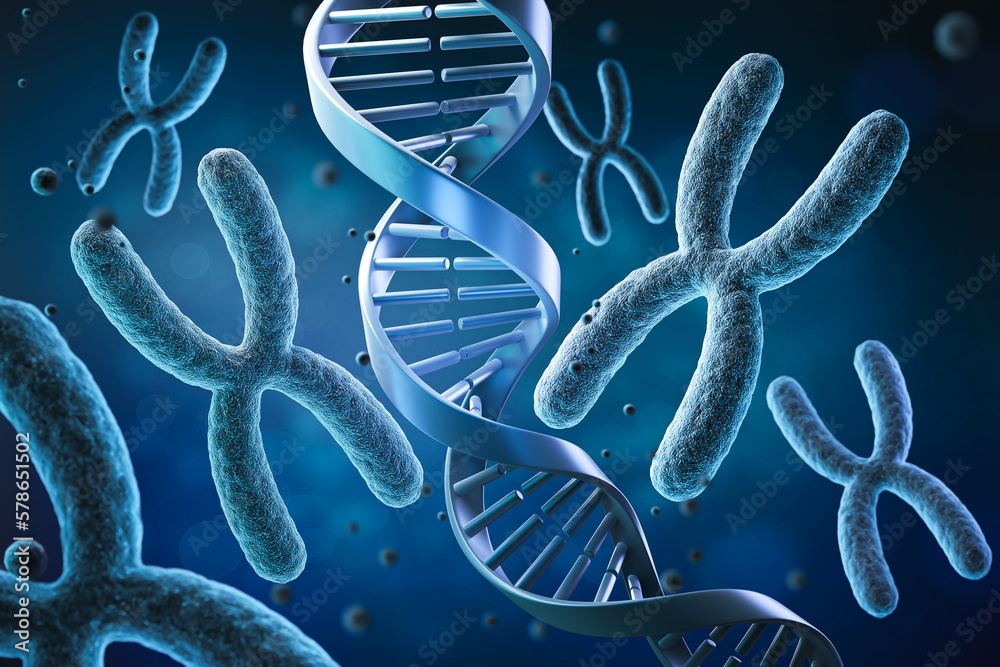 human body X chromosome with DNA background, 3d illustration. Stock ...