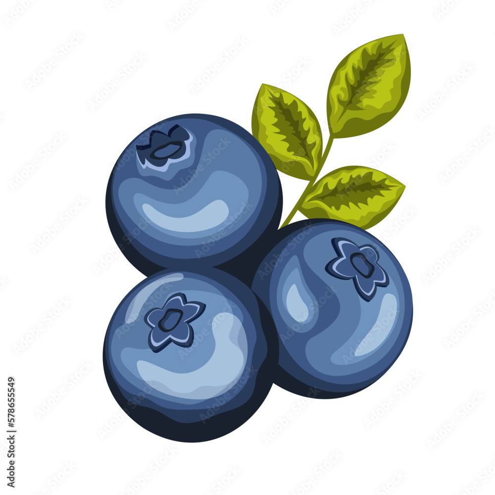 Vector cartoon blueberries with leaves. Isolated on white background ...