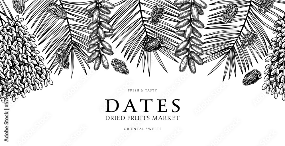 Hand drawn border design with date palm leaves and ripe fruit ...