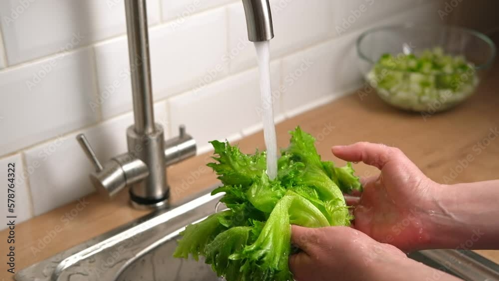 Washing fresh green salad leaves under the faucet in Stylish kitchen ...
