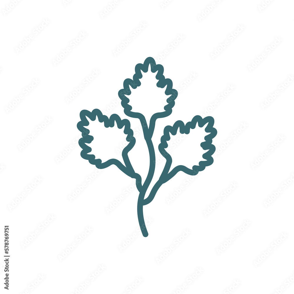parsley icon. Thin line parsley icon from vegetables and fruits ...