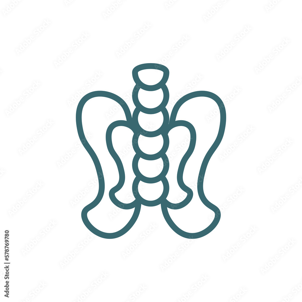 pelvis icon. Thin line pelvis icon from medical and healthcare collection. Outline vector ...