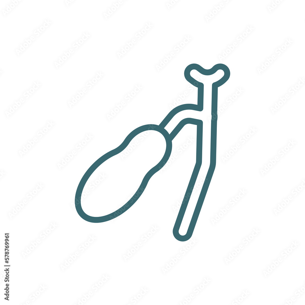 gallbladder icon. Thin line gallbladder icon from medical and healthcare collection. Outline ...