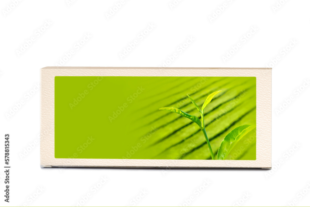 Design template for green tea packaging: blank tea bag box mockup with ...