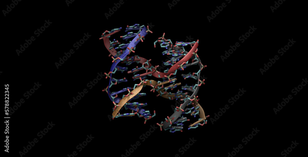 Holliday junction in an inverted repeat DNA sequence 3D molecule ...