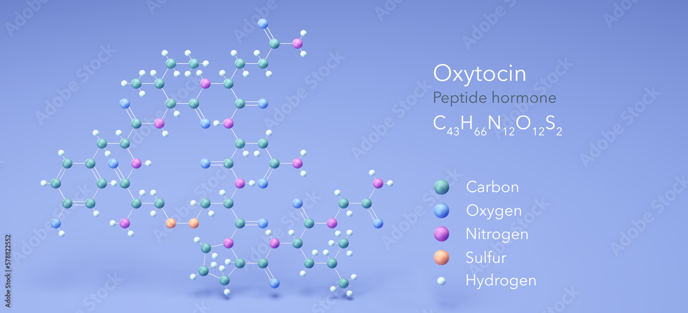 oxytocin molecule, molecular structures, peptide hormone, 3d model ...