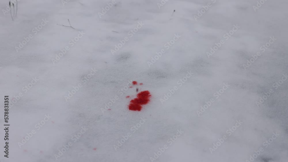 Blood snow, Snowfall accident, Winter emergency. The bright red blood ...