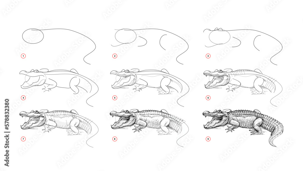 Page shows how to learn to draw sketch a redoubtable alligator. Pencil ...
