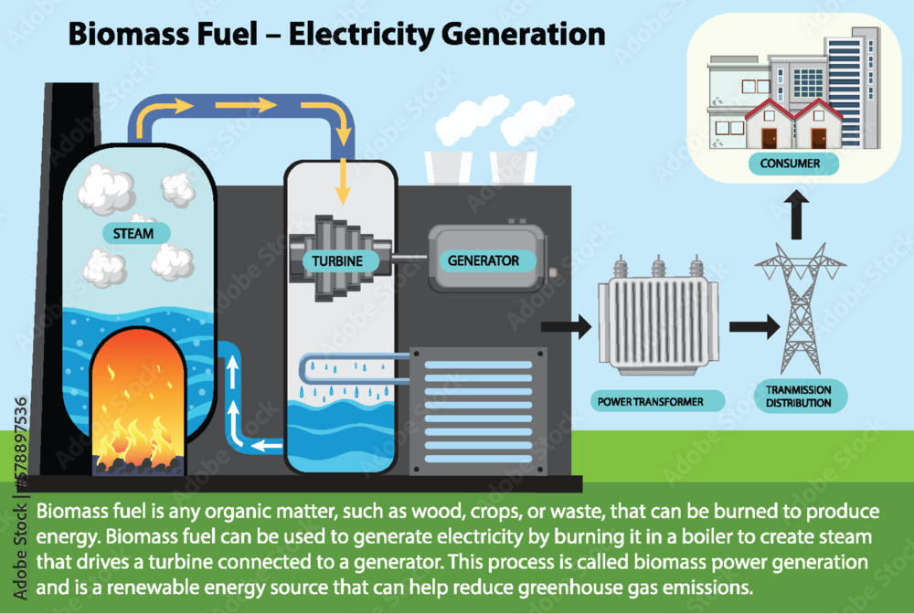 Biomass Fuel Electricity Generation Diagram Stock Vector | Adobe Stock