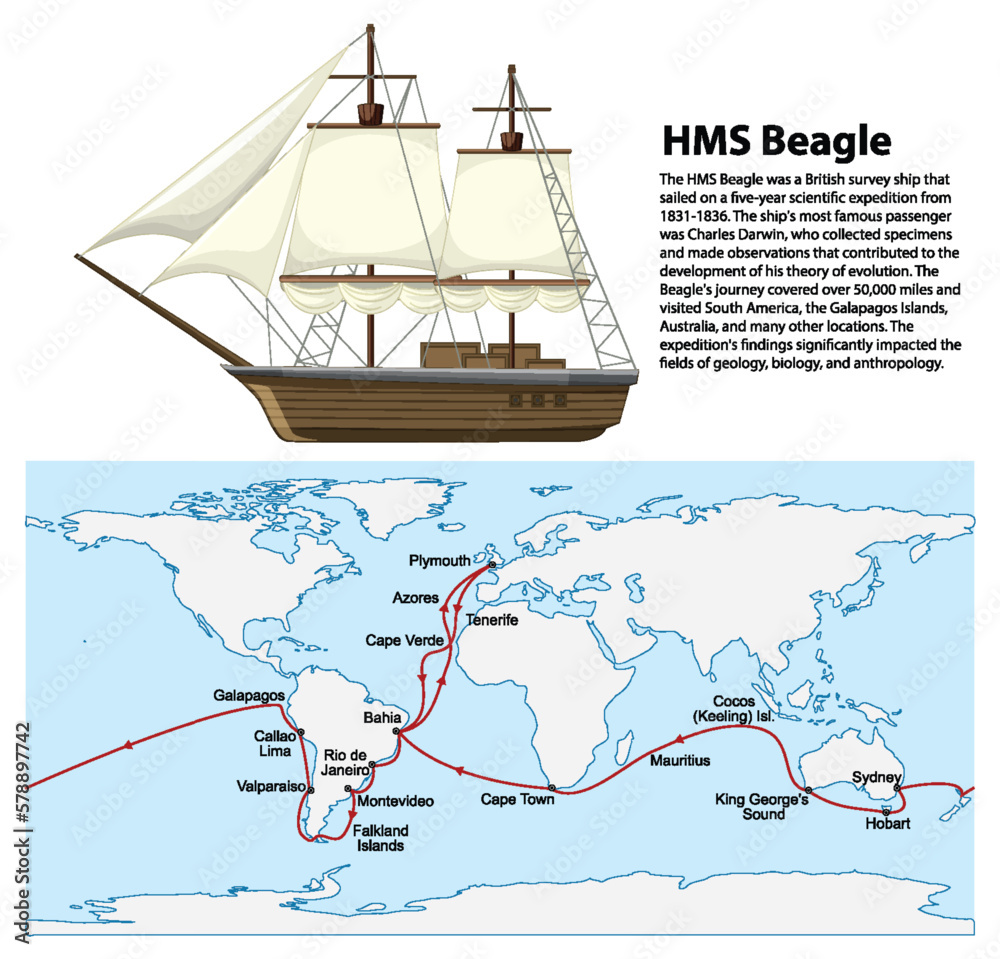 Vetor de HMS Beagle ship and map Charles Darwin do Stock | Adobe Stock