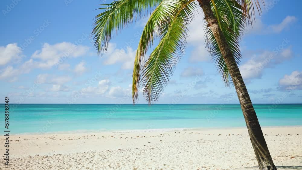 Palm beach landscape in Cuba. White sand and turquoise sea in sunny ...