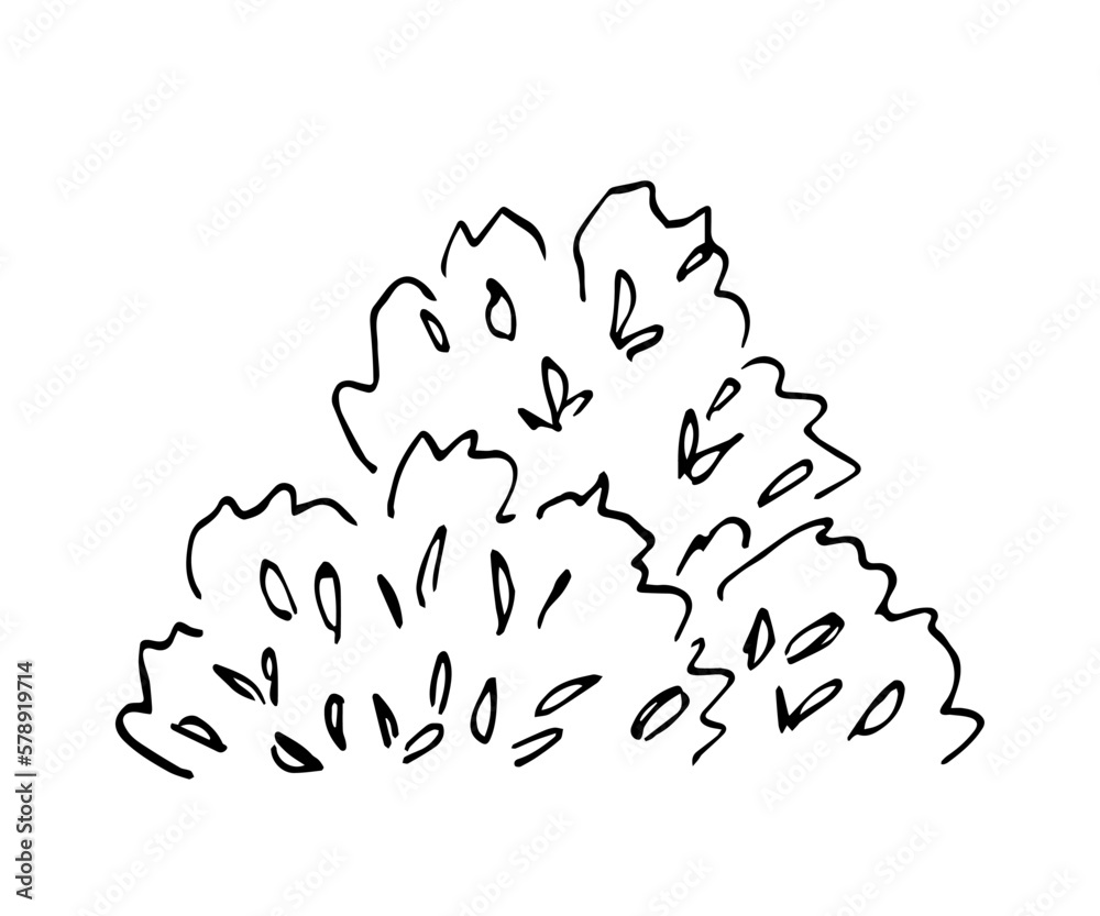 Simple black outline vector drawing. Lush bush, vegetation and trees ...
