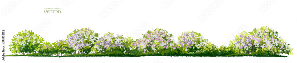 Vector watercolor blooming flower tree side view isolated on white ...