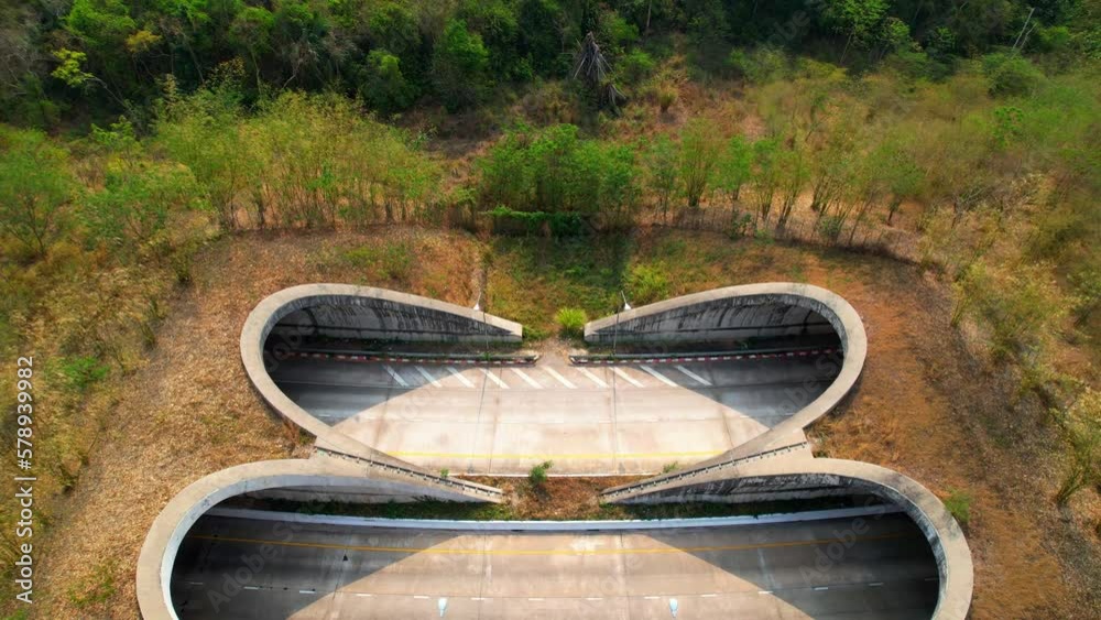 Drone footage of wildlife corridor bridges highlights the innovative ...