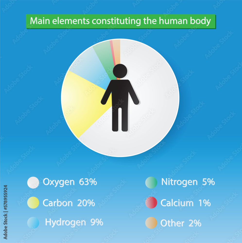 illustration of biology and medical, minerals in the human body, a ...