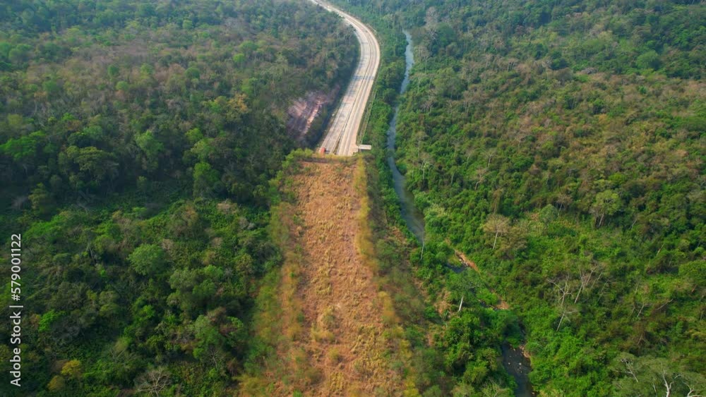 Drone footage of wildlife corridor bridges captures the innovative ...