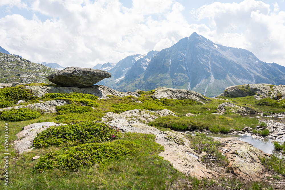 Beautiful point of view of a green mountain landscape in summer, the ...