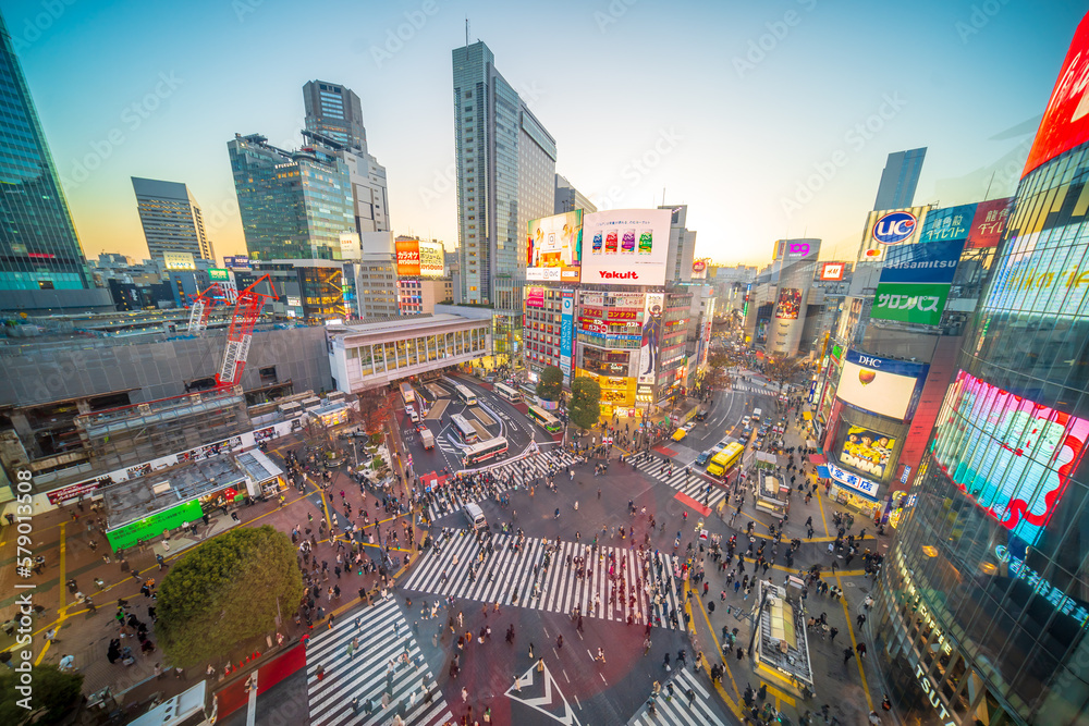 Shibuya Crossing from top view at twilight in Tokyo, Japan Stock Photo ...