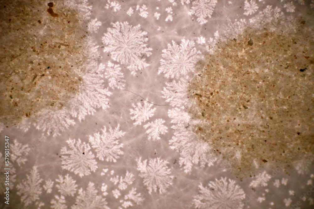 Analysis morphology of microplastic waste contaminated in soil and ...