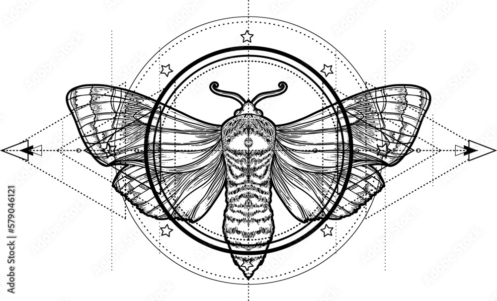 Black and white moth over sacred geometry sign, isolated vector ...
