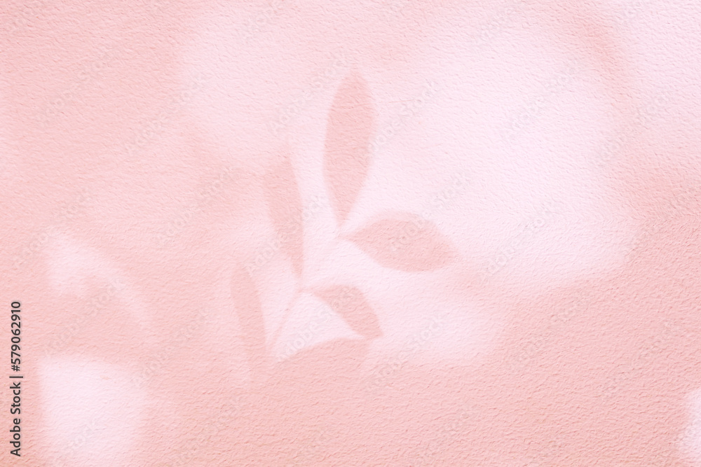Leaf shadow and light on wall pink paste background. Nature tropical ...