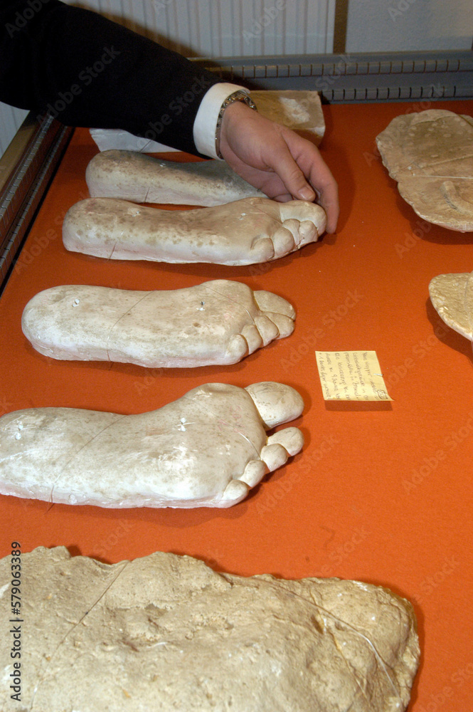 hans gross kriminalmuesum graz Stock Photo | Adobe Stock