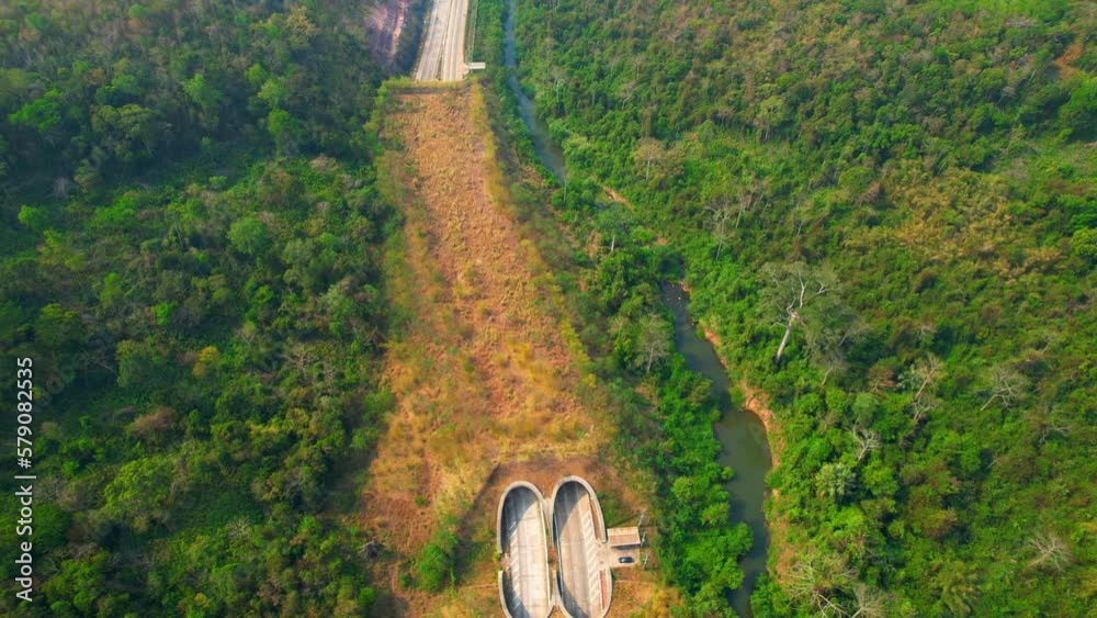 A wildlife corridor bridges reveals a vital connection for wildlife ...