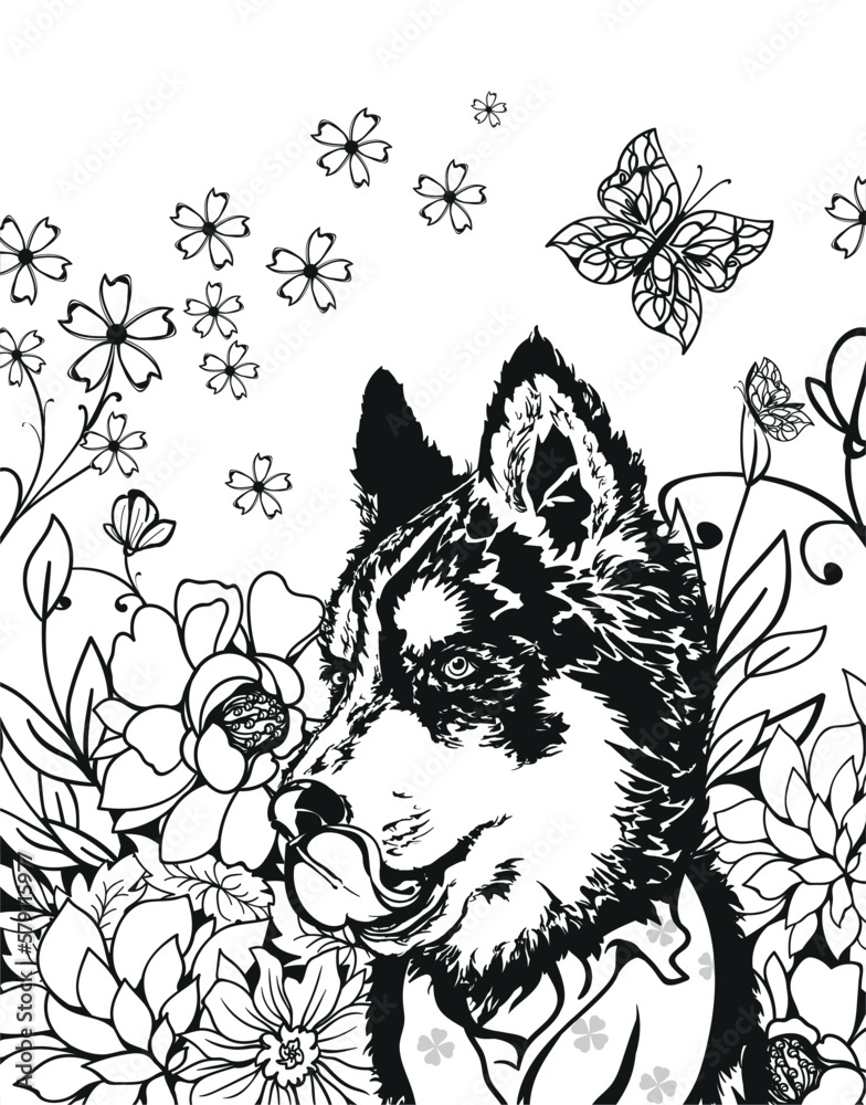 Husky. Black and white illustration of a dog. Coloring page.Vector ...