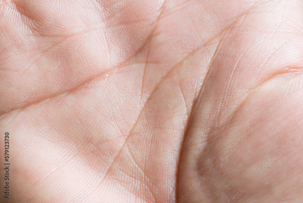 Macro image of the skin texture of the human palm,Macro image of the ...
