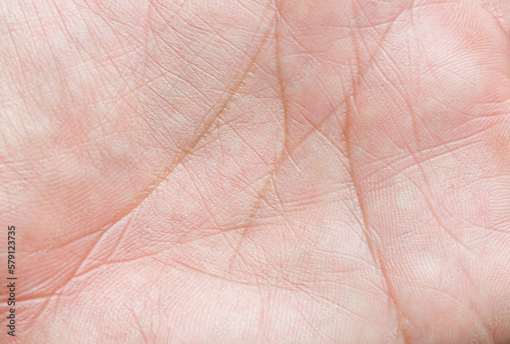 Macro image of the skin texture of the human palm,Macro image of the ...
