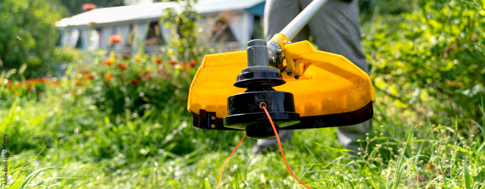 LAWN MOWER MOWS LAWN TRIMMER Stock Photo | Adobe Stock