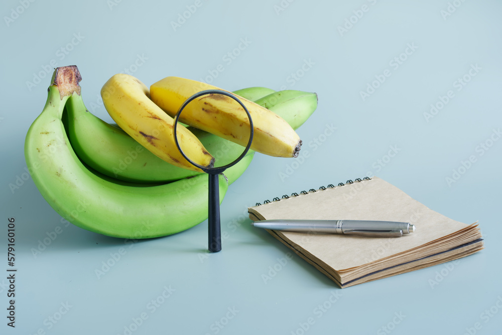 Magnifier, two varieties of bananas, pen and notebook on light ...