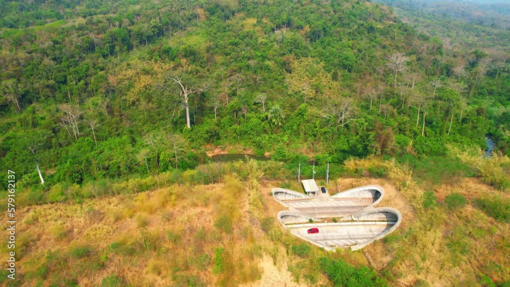 Drone footage of wildlife corridor bridges captures the innovative ...