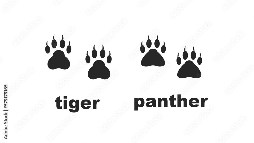 panther and tiger foot Print Logo Template. Paw Print Logo Design ...