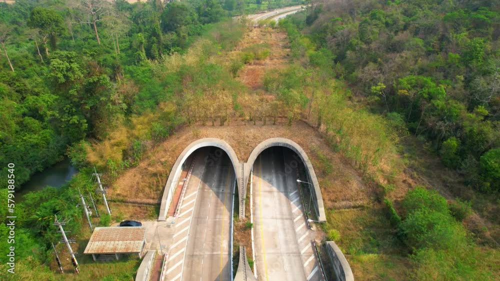 A wildlife corridor bridges reveals a vital connection for wildlife ...