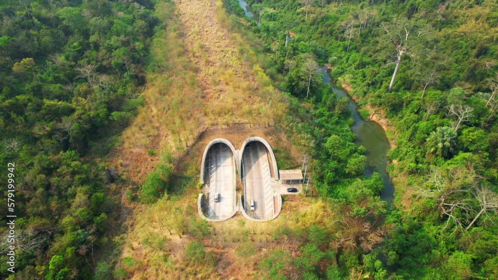 Drone footage of wildlife corridor bridges captures the innovative ...