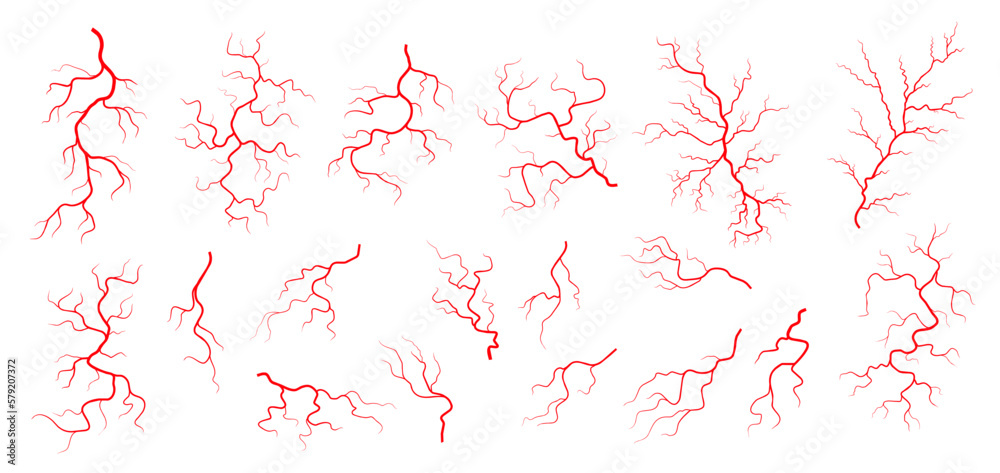 Red veins, anatomy, blood vein artery or capillary, vector medical ...