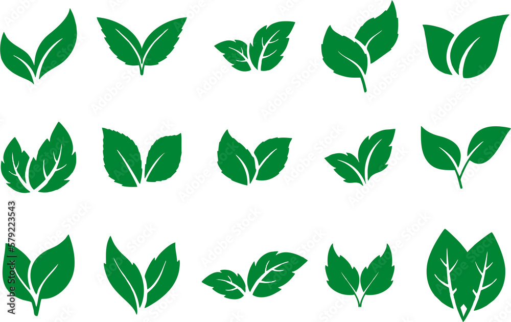 Set of green leaf icons. Leaves icon. Different Leaves of trees and ...