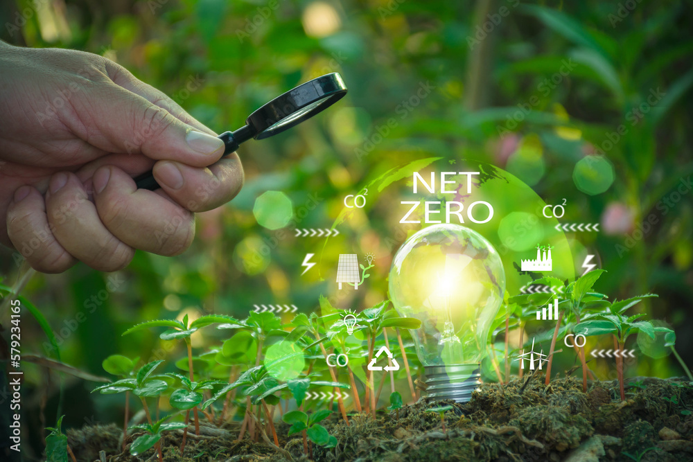 Sustainable strategy approach to eliminate pollution and net zero ...