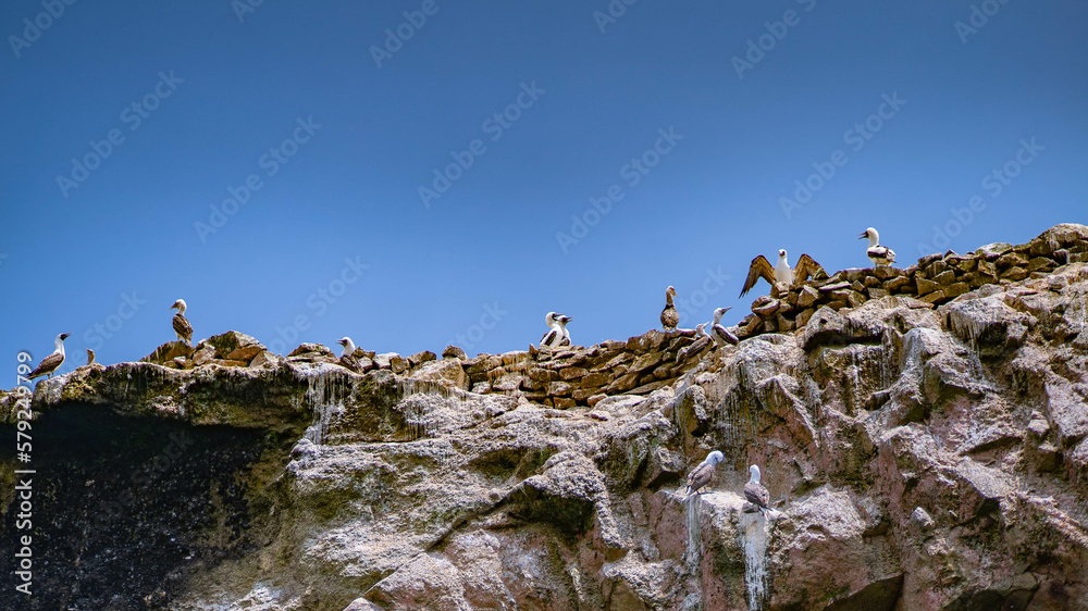 PARACAS NATIONAL RESERVE ISLAND AND NATURE Stock Photo | Adobe Stock
