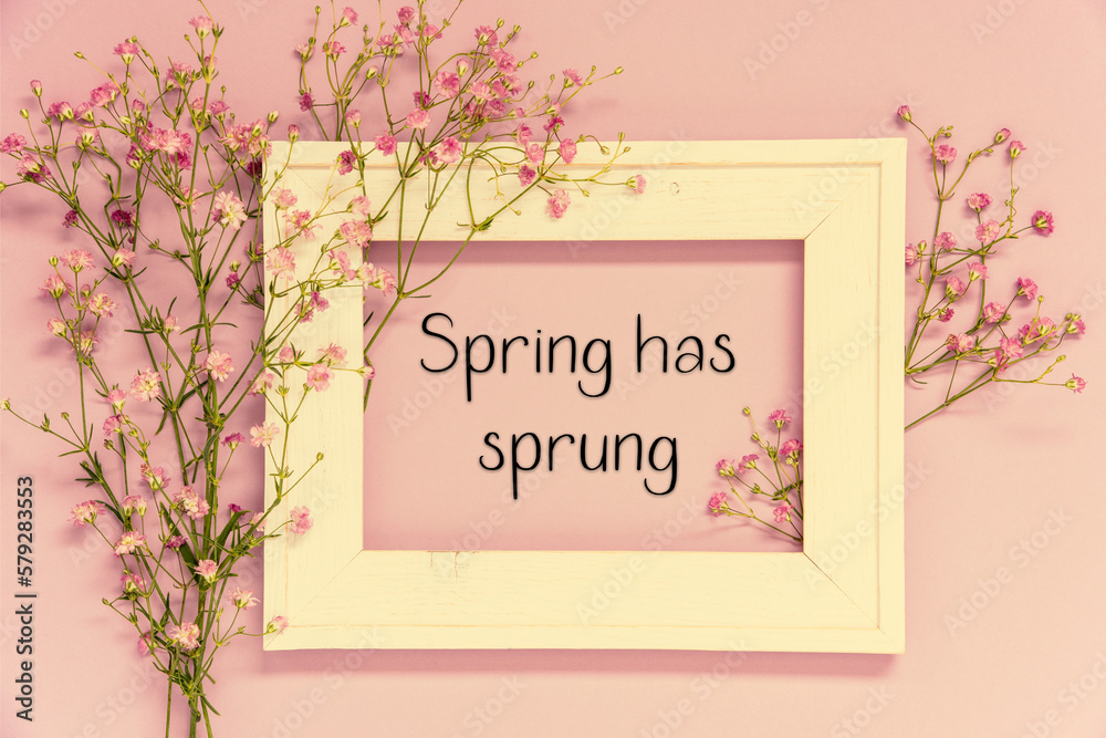 Spring Has Sprung