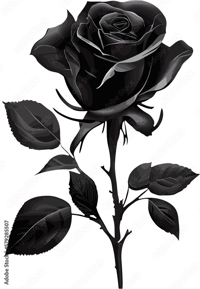 black rose transparent background - Generative AI Stock Illustration ...