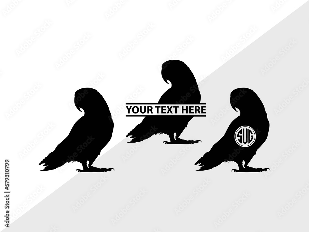 Parrot Bird Monogram, Parrot Bird Silhouette, Parrot Bird SVG, Parrot ...